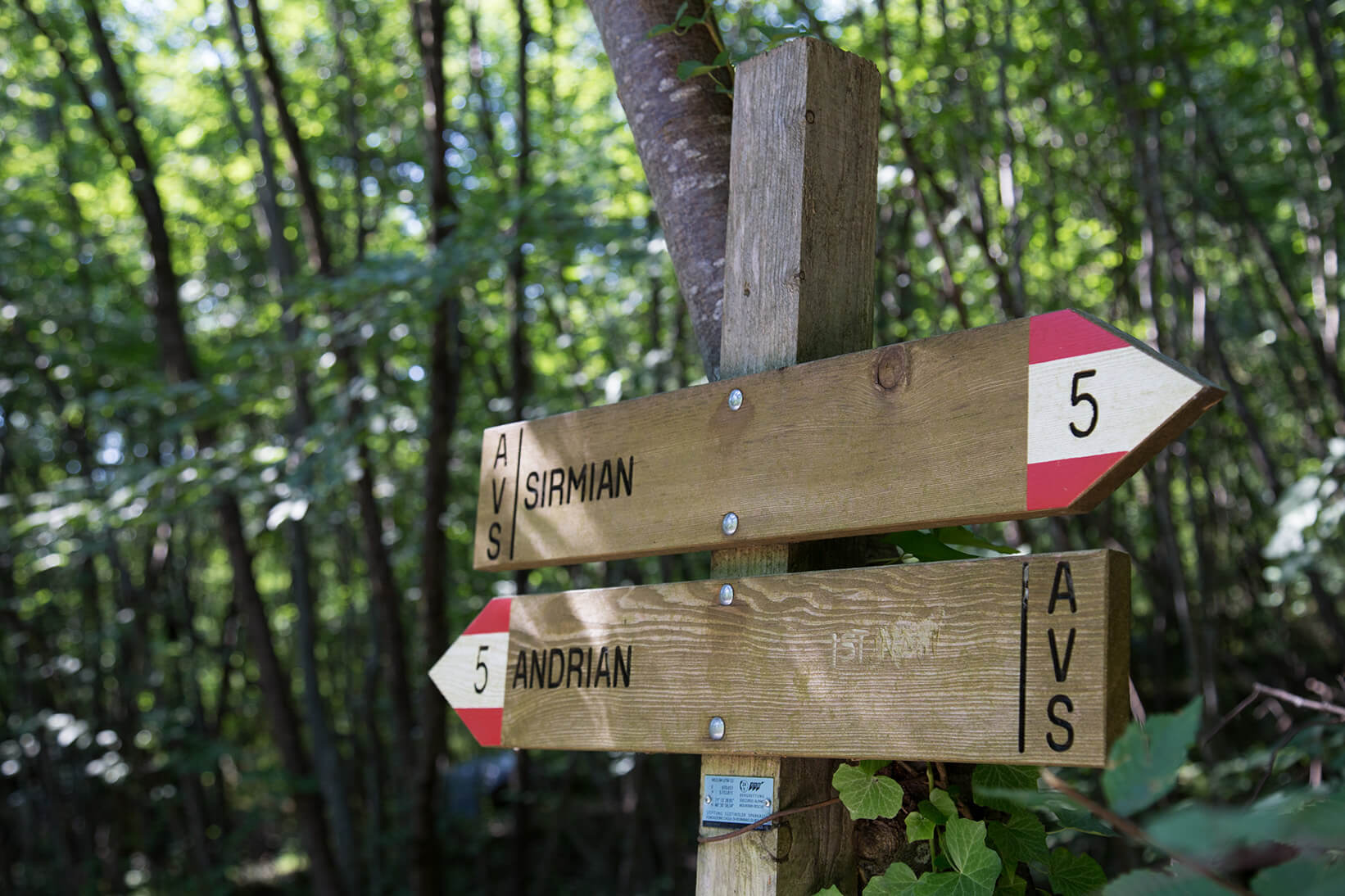 Wanderungen in Andrian & Umgebung