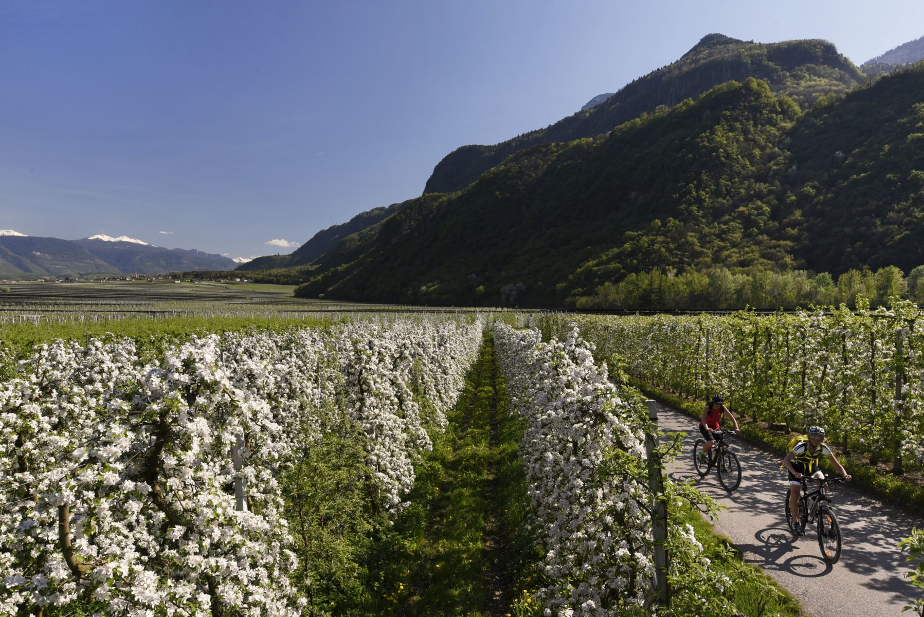 Andrian - Hotels, Ferienwohnungen, Bed & Breakfast, Unterkünfte